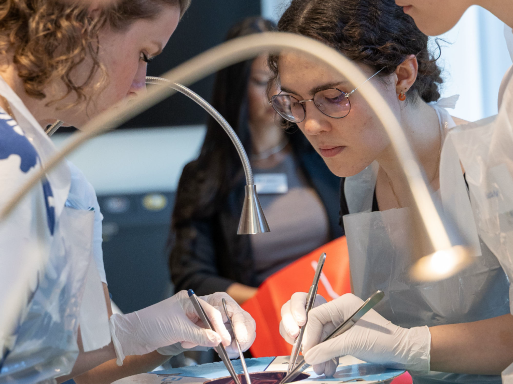 1. Kölner Tag der (zukünftigen) Chirurginnen | Herzchirurgie ...