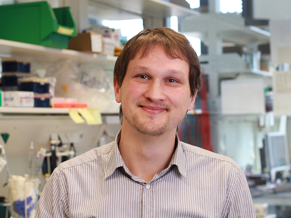 Abwehrleistung des Immunsystems stärken | Uniklinik Köln